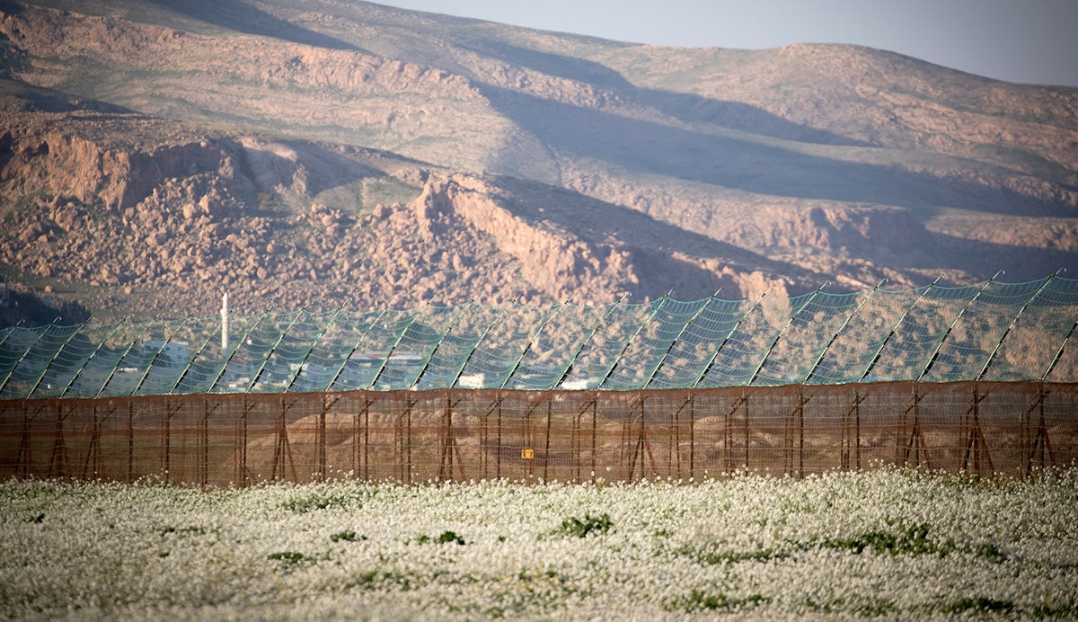 Wilf: Israel’s Final Border | Tikvah Ideas
