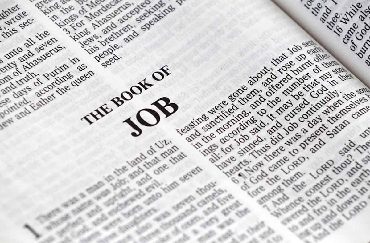 What Is the Book of Job Doing in the Bible? | Tikvah Ideas