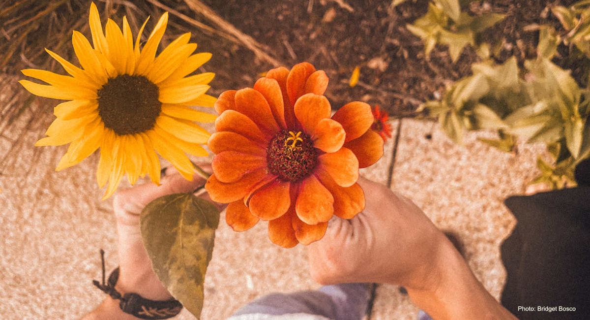 What my pregnancy and miscarriage taught me about abortion | Live Action