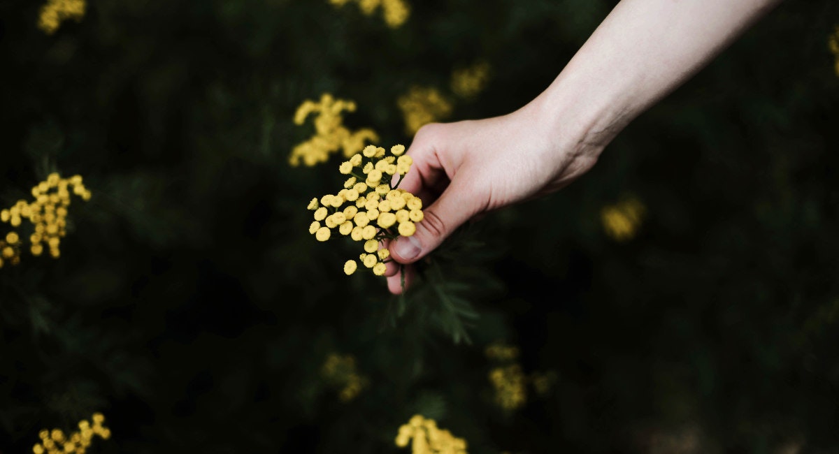 Barnard College library supports abortifacient ‘garden’ and ‘self ...