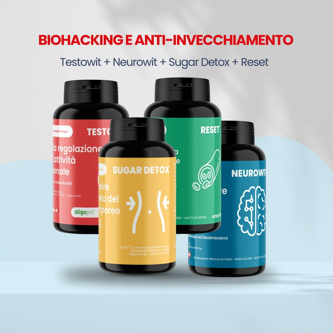 Orbis Lifestyle - Amphora Logistics