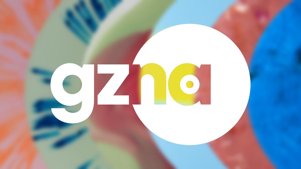 Vinyl Visualizer | GZNA