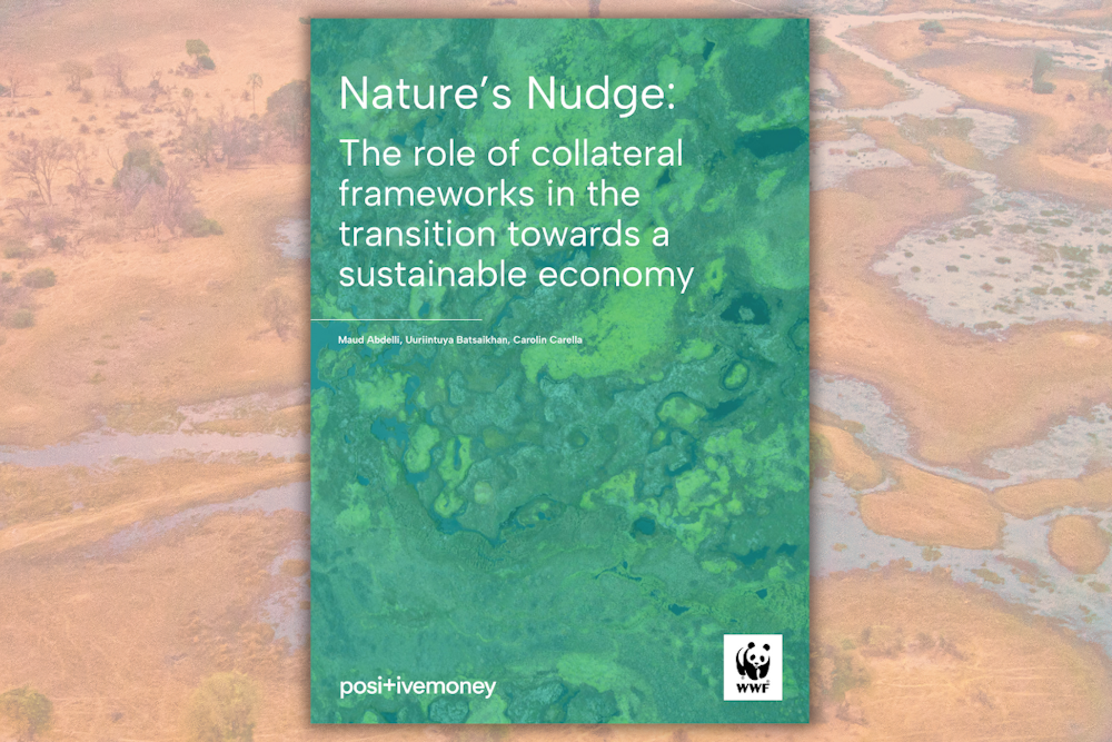 Nature's Nudge: The Role of Collateral Frameworks in the Transition ...