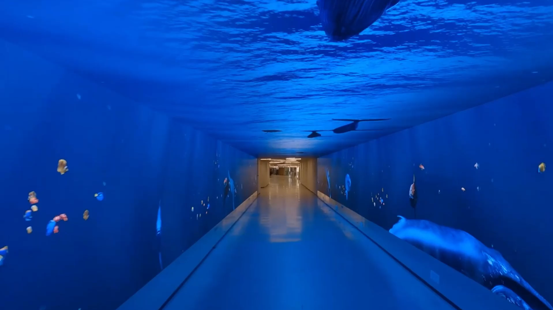 Immersive 3D Experiences Video Installations | Bluemotion 3D