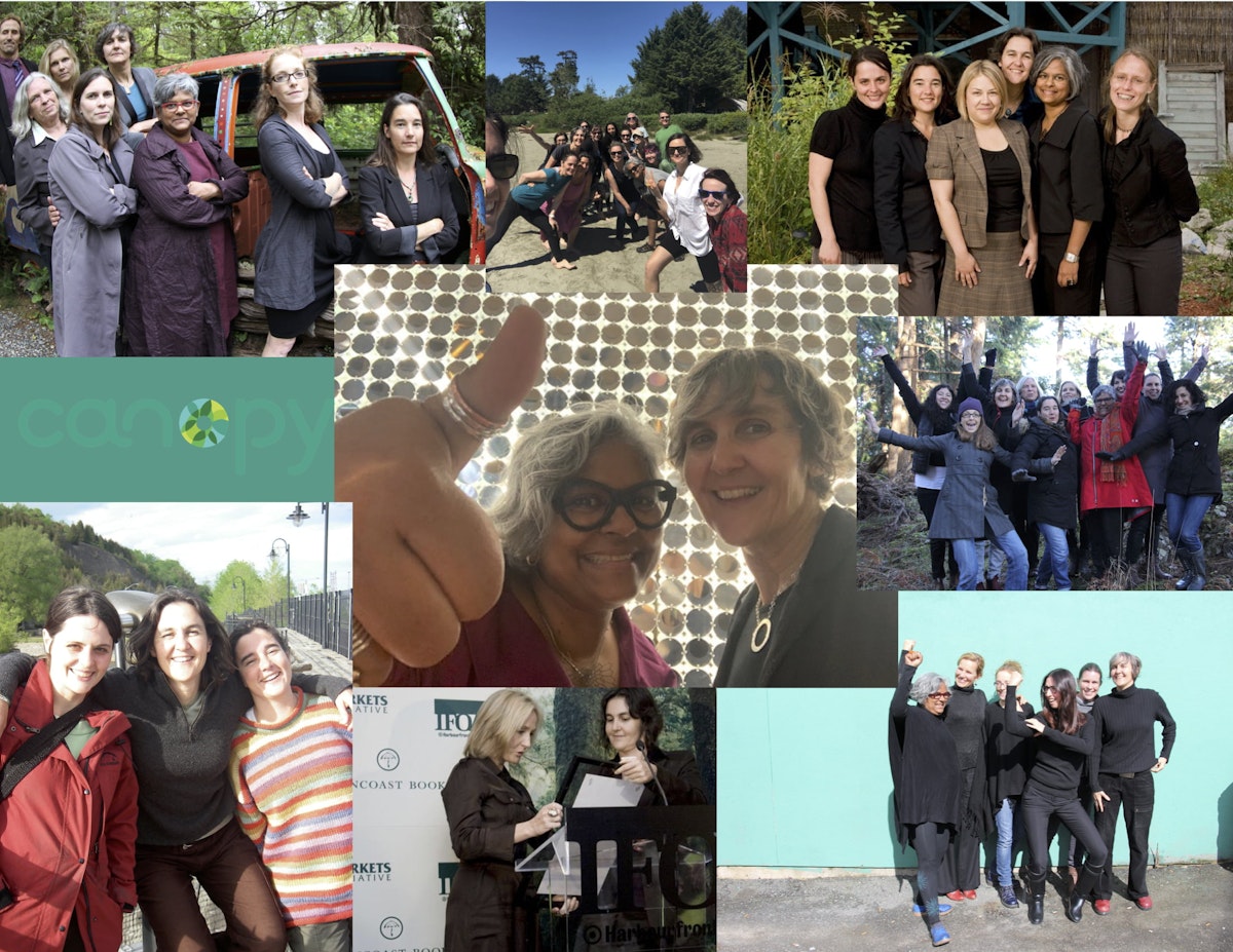 It’s Canopy’s 20th Anniversary, and There’s No Better Time … | Canopy