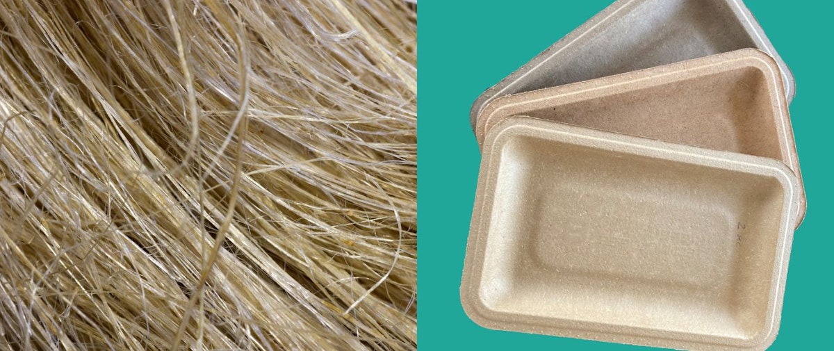 Using hemp and flax to make paper packaging | Canopy