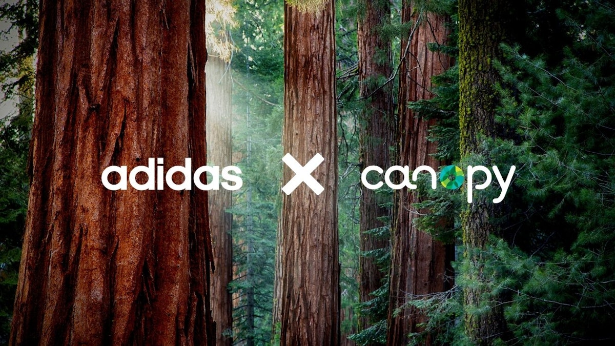 adidas Next Winning Move: Championing Forest Conservation | Canopy