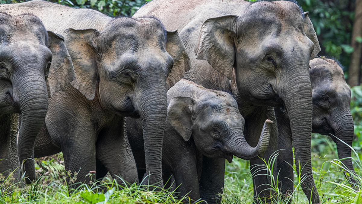 Our People: The Team Behind Canopy's Success | Canopy