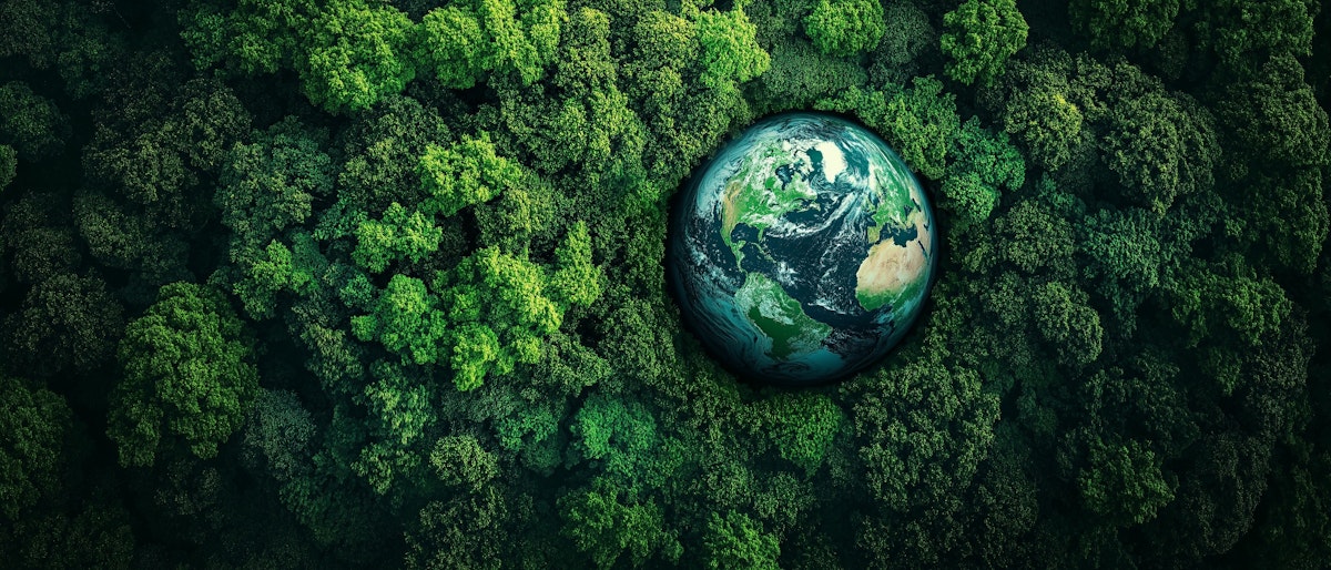 The Climate Call of Our Time: Canopy at CBD COP16 | Canopy