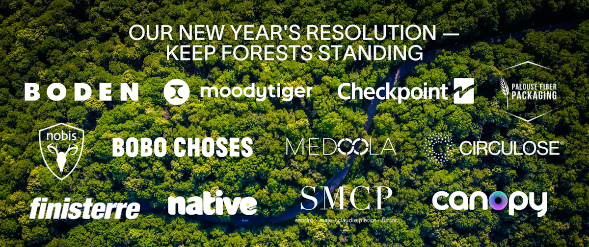 New Year brings new companies committing to protect forests | Canopy