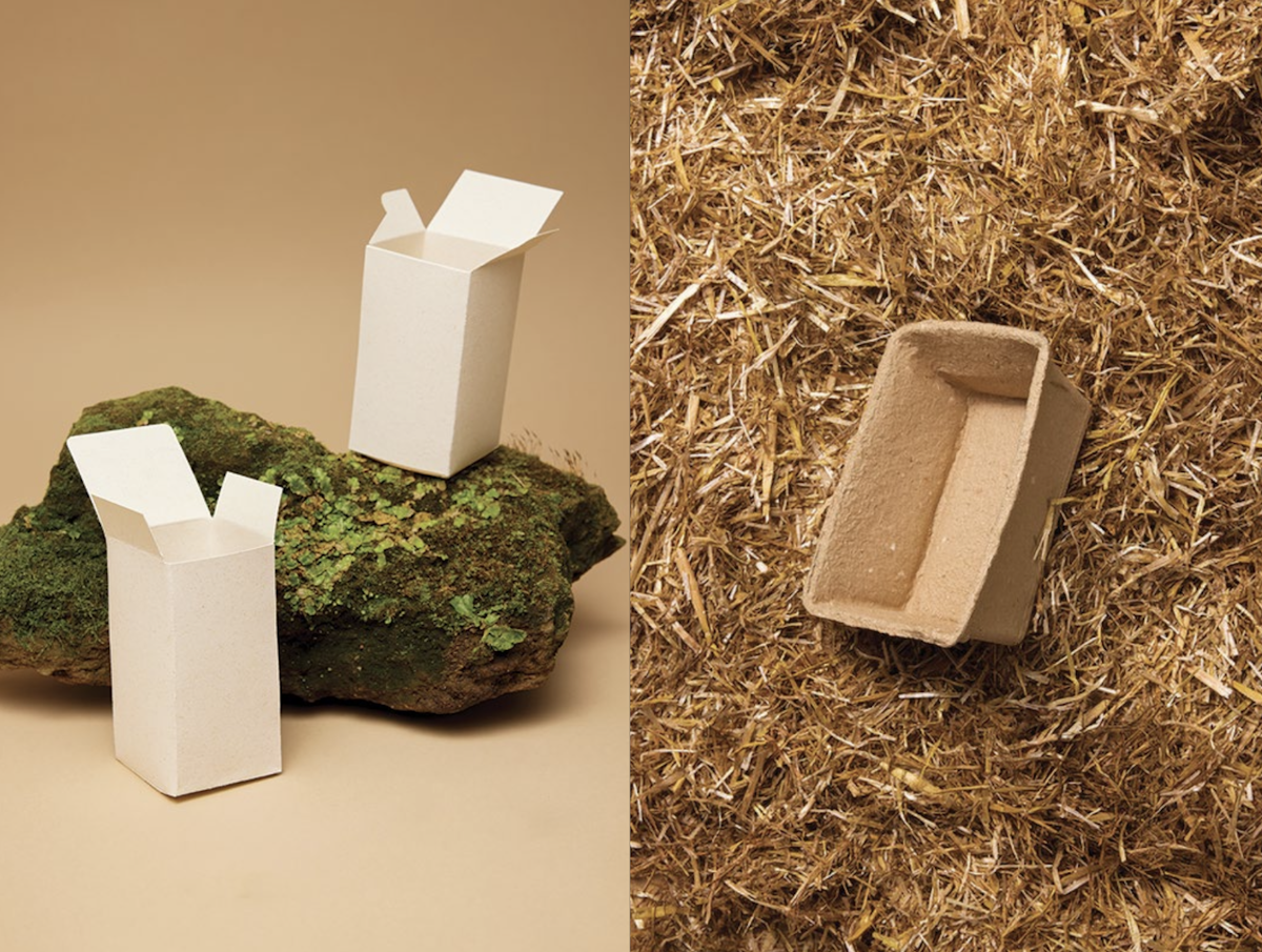 Next Gen Fiber: Performance, Markets, and Supply Resilience | Canopy