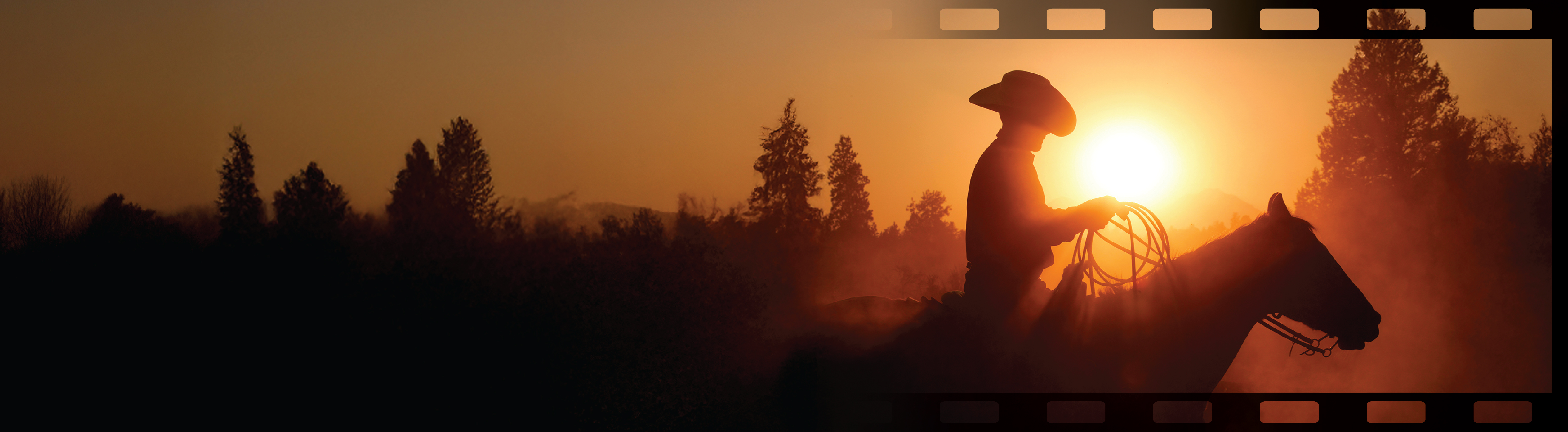 Cowboys: History & Hollywood | The Ronald Reagan Presidential ...