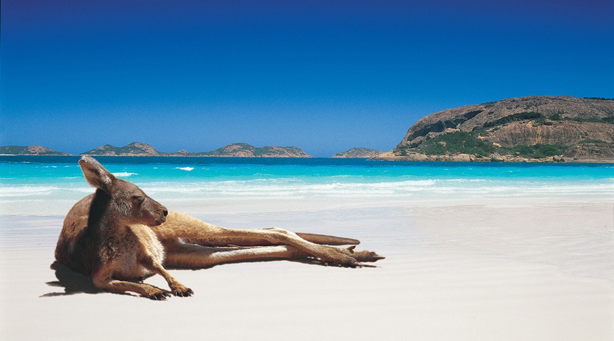 Things to do in Australia this Summer | Imoova