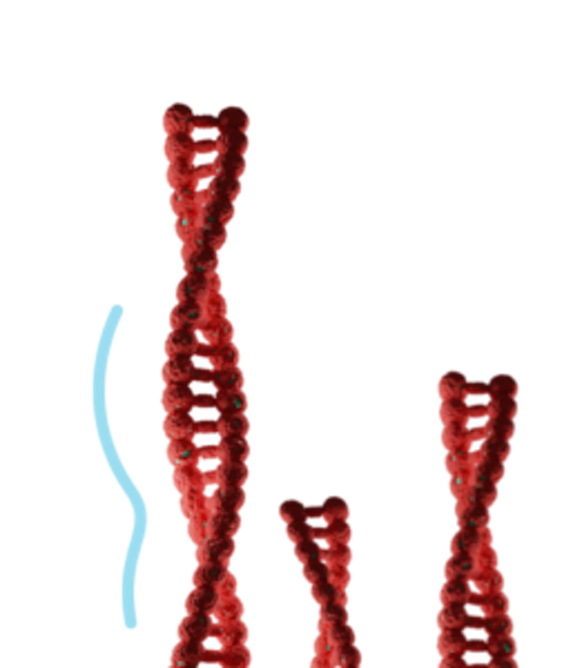 Unlock Your Genetic Secrets | DNA Testing Services