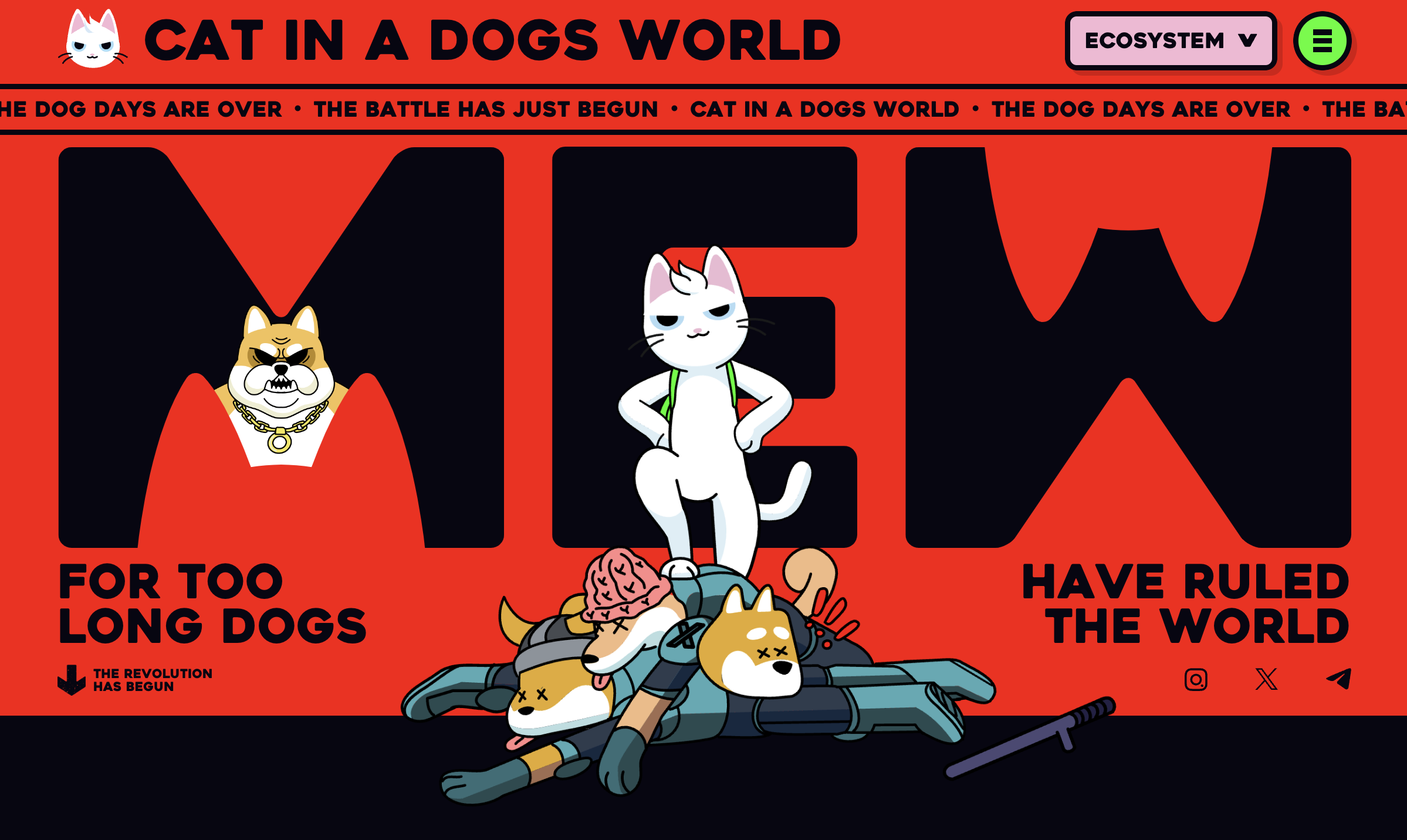 MEW - cat in a dogs world