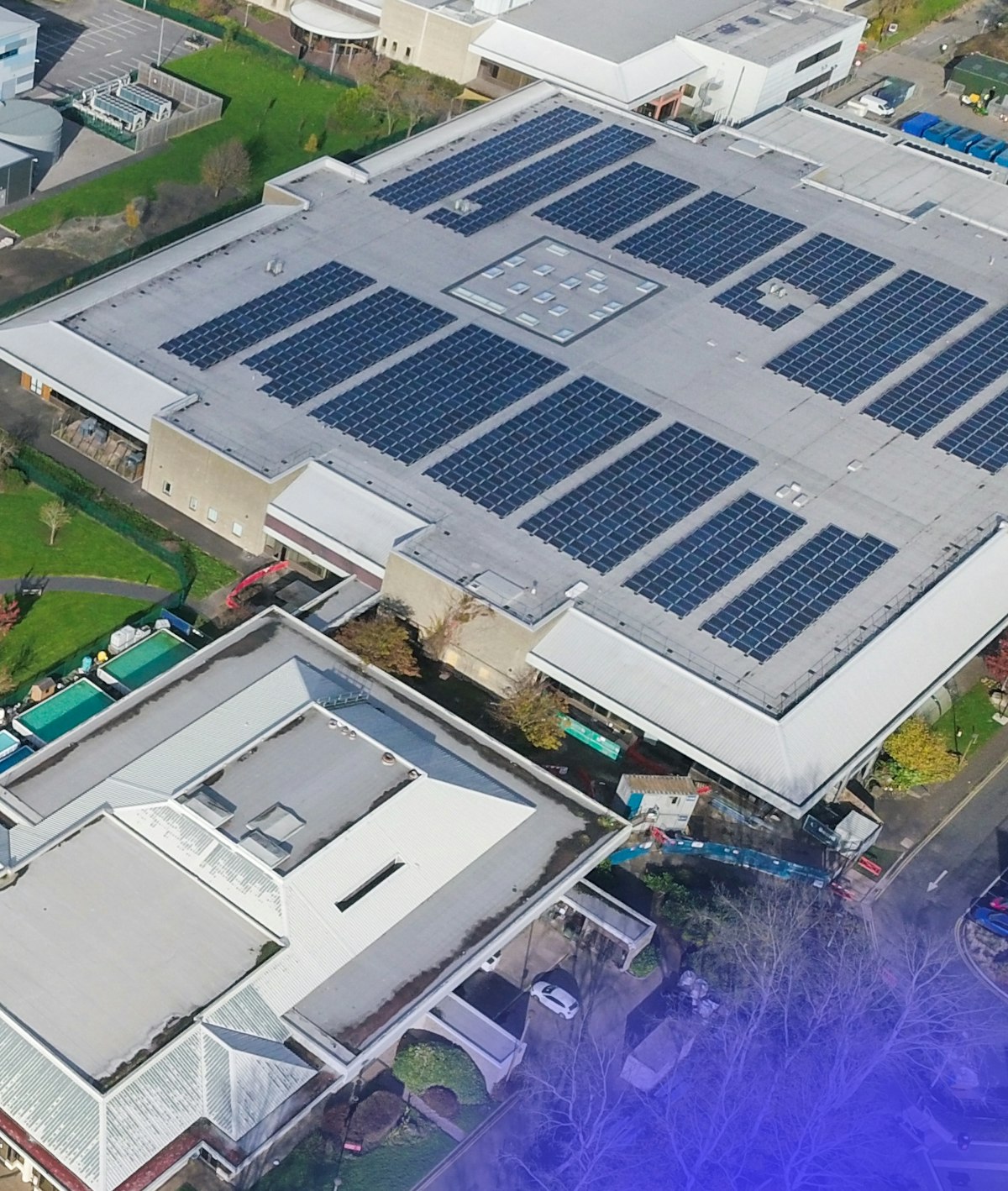 Prosumers Forecast — Ogre.ai