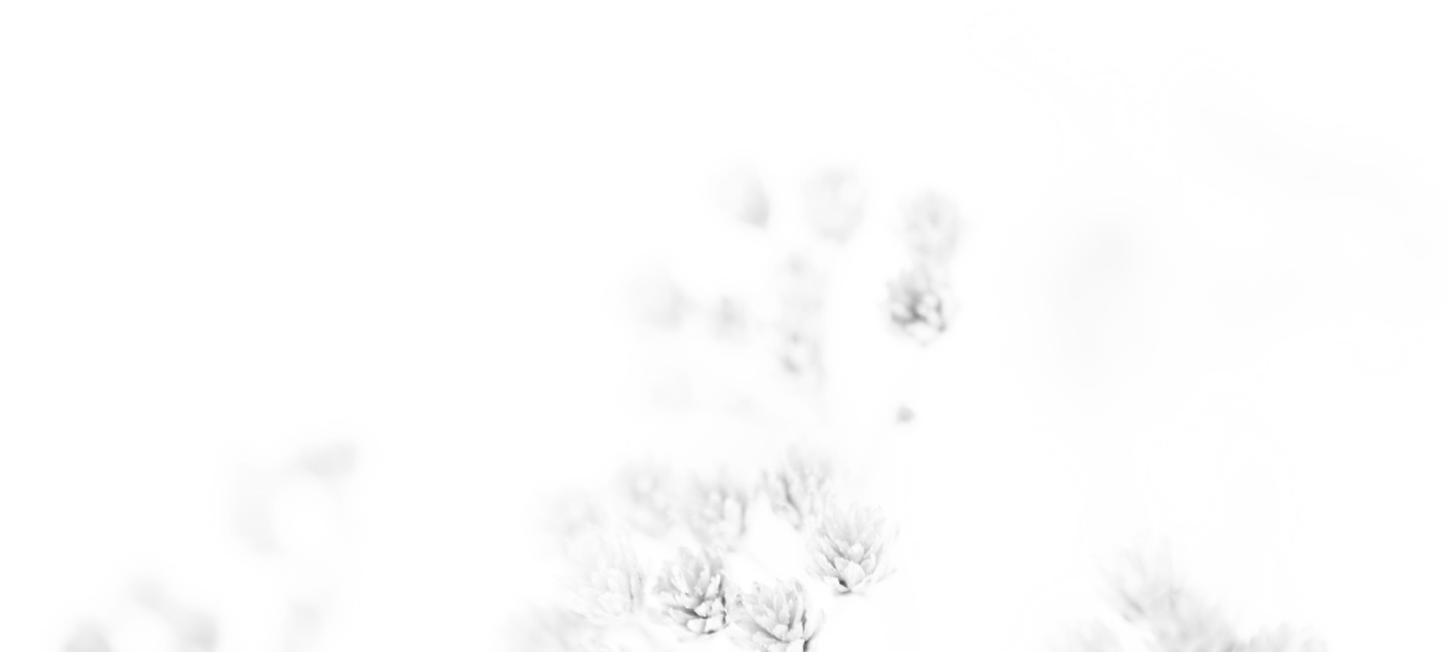 Plastic Surgeons in Portland, OR | Portland Plastic Surgery Group