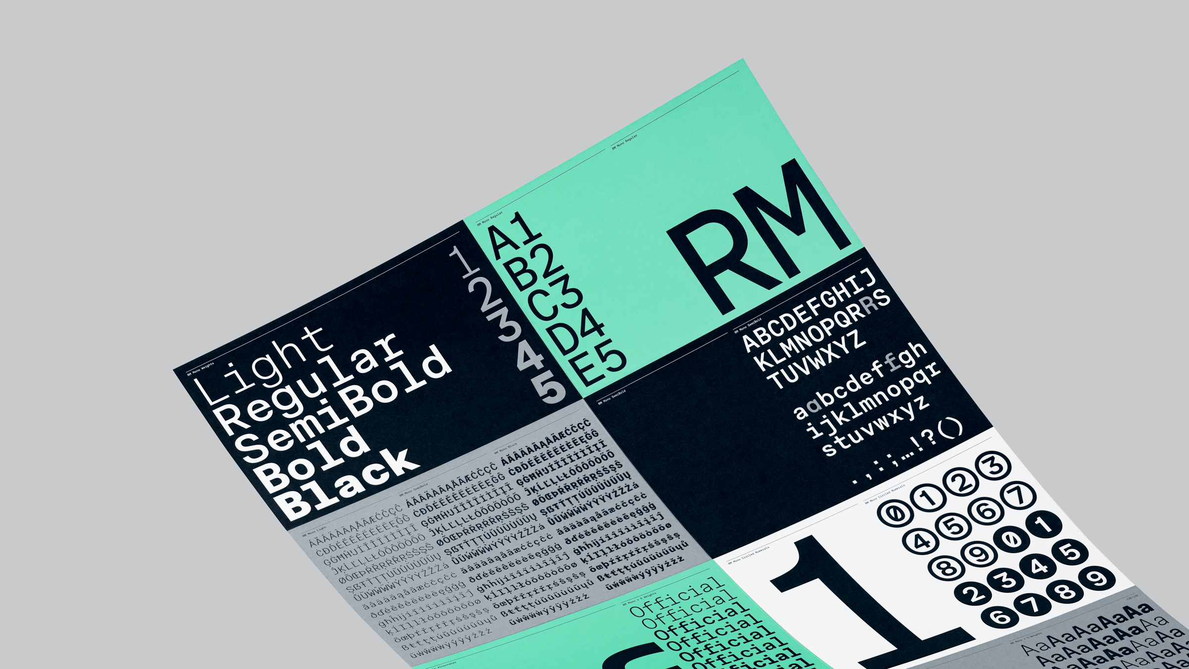 RM Mono | CoType™ Foundry