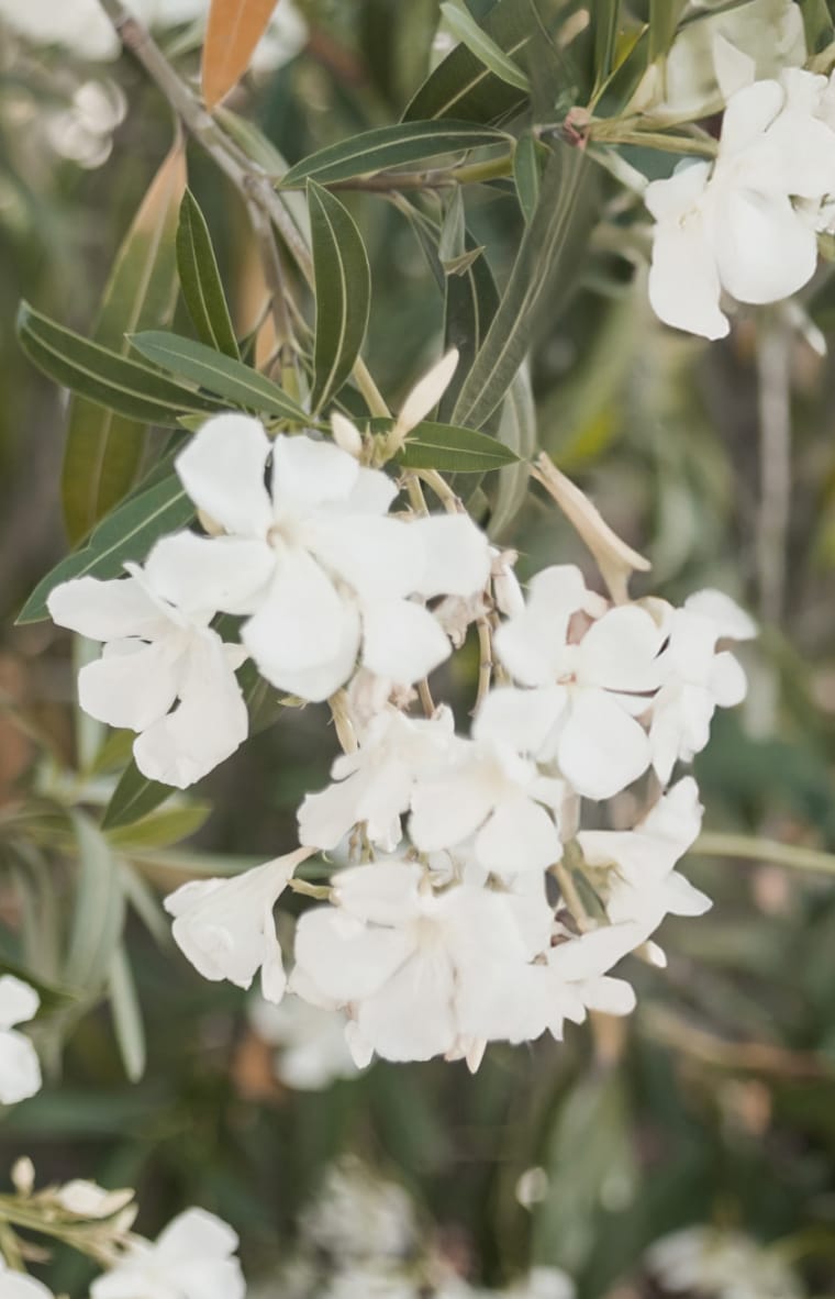 Richmond, VA Plastic Surgery | Plastic Surgery in Richmond, VA ...