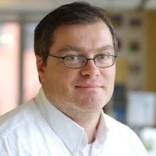 Land Disturbance Alert Classification System