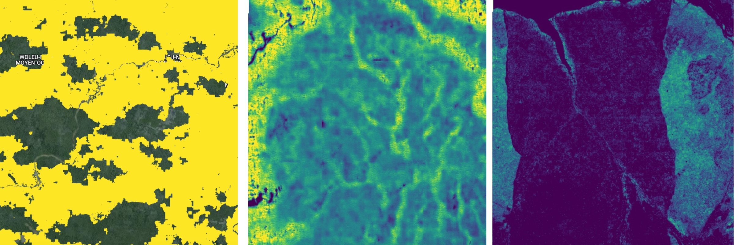 Mapping the World’s Trees in Unprecedented Detail with AI