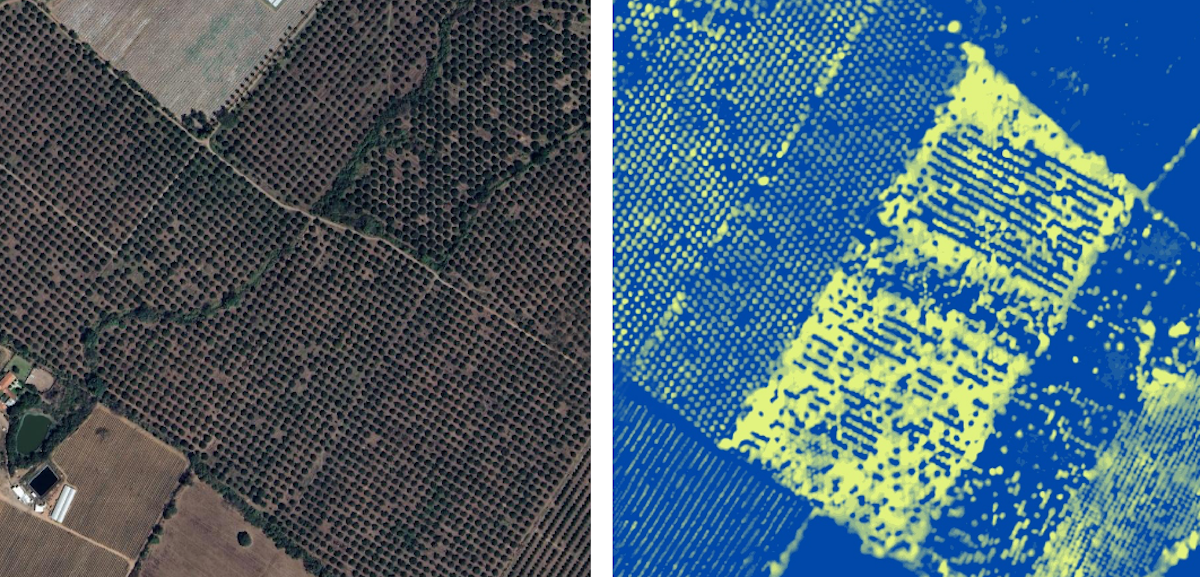Mapping the World’s Trees in Unprecedented Detail with AI