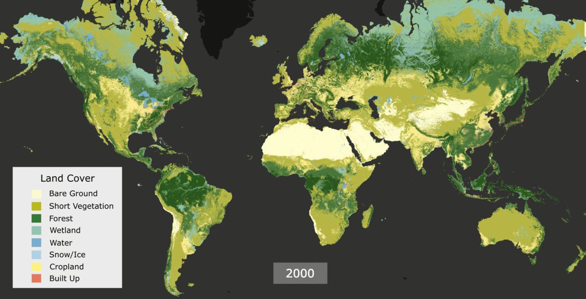 20 Years of Land Cover Data Reveals Important Transformations of Our Planet