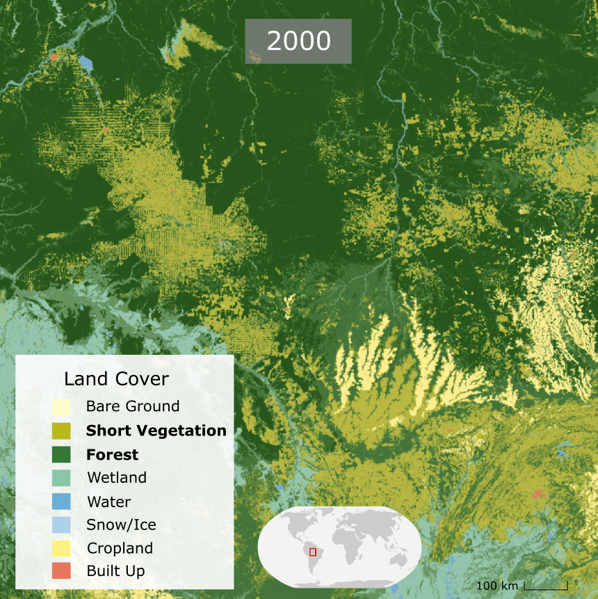 20 Years of Land Cover Data Reveals Important Transformations of Our Planet
