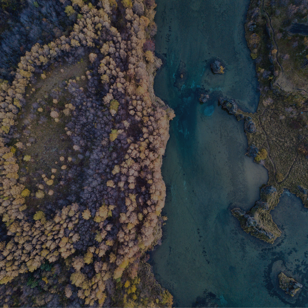 Global Land Cover Change— Land & Carbon Lab