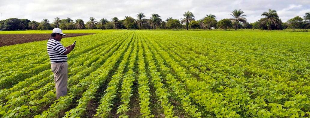 5 Takeaways on Cropland Expansion and What It Means for People and the ...