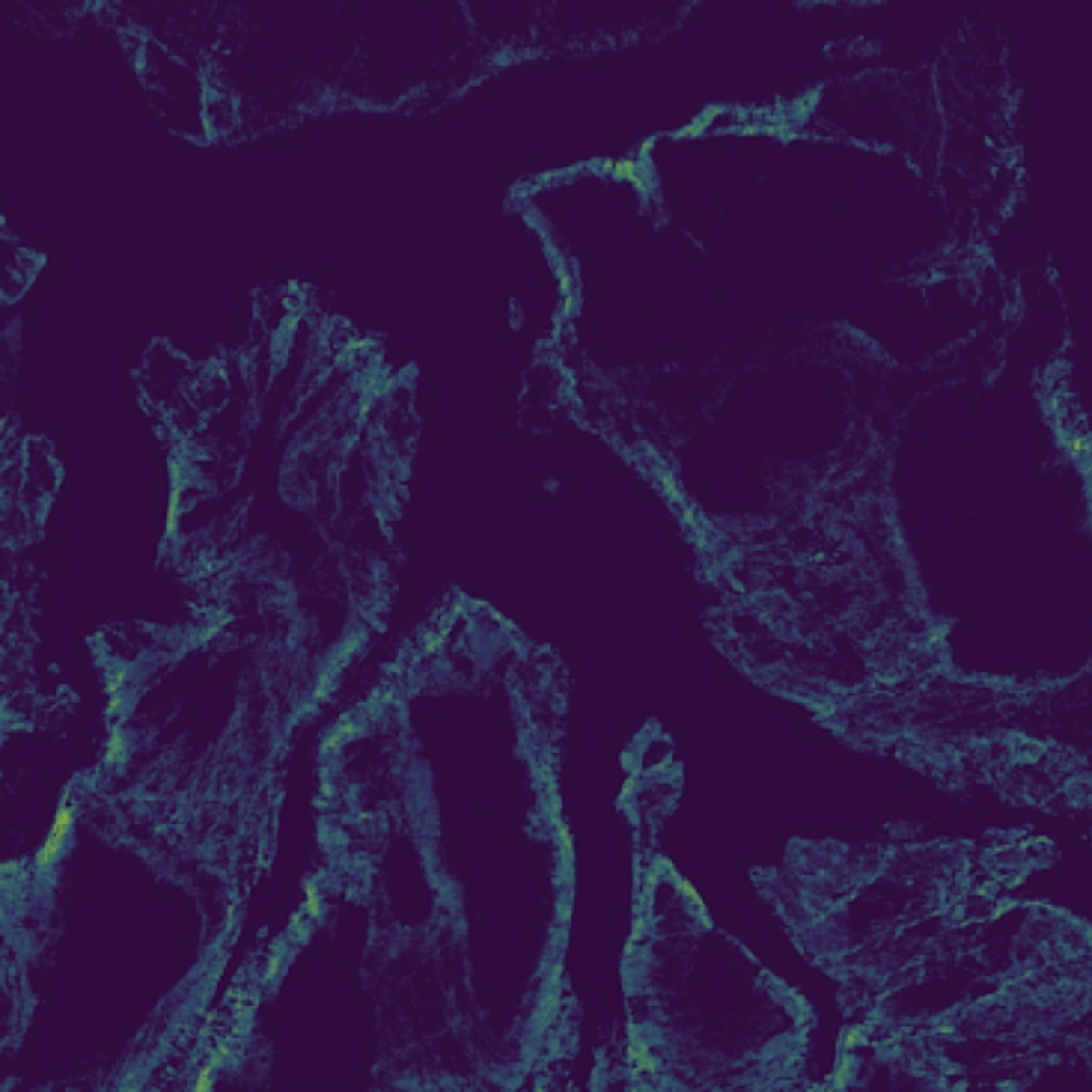 Global Tree Canopy Height — Land & Carbon Lab