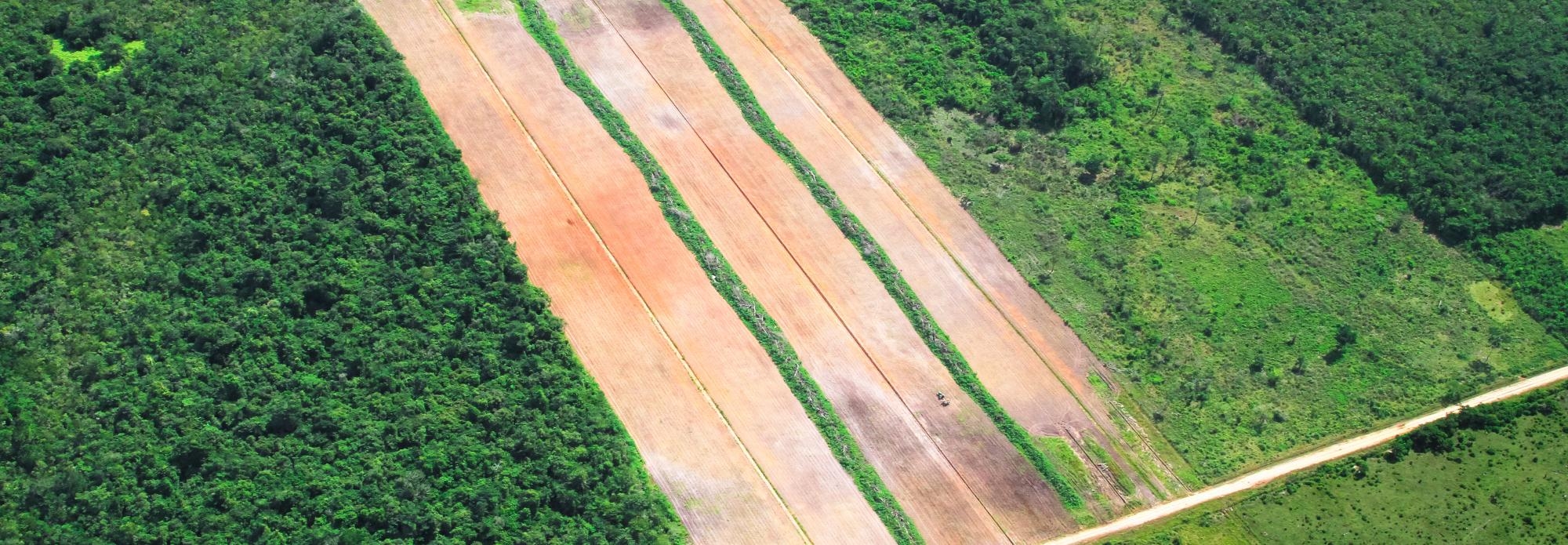 New Data Shows Where, and How Much, Crops are Produced