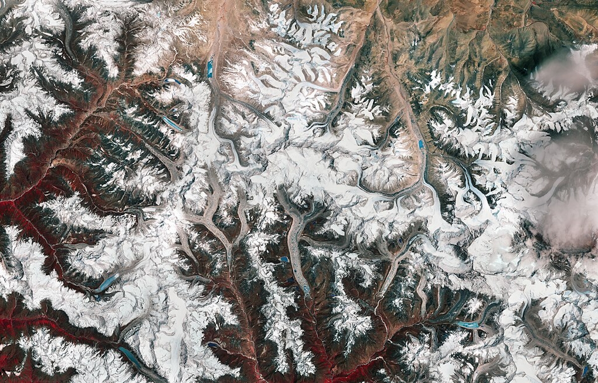 20 Years of Land Cover Data Reveals Important Transformations of Our Planet