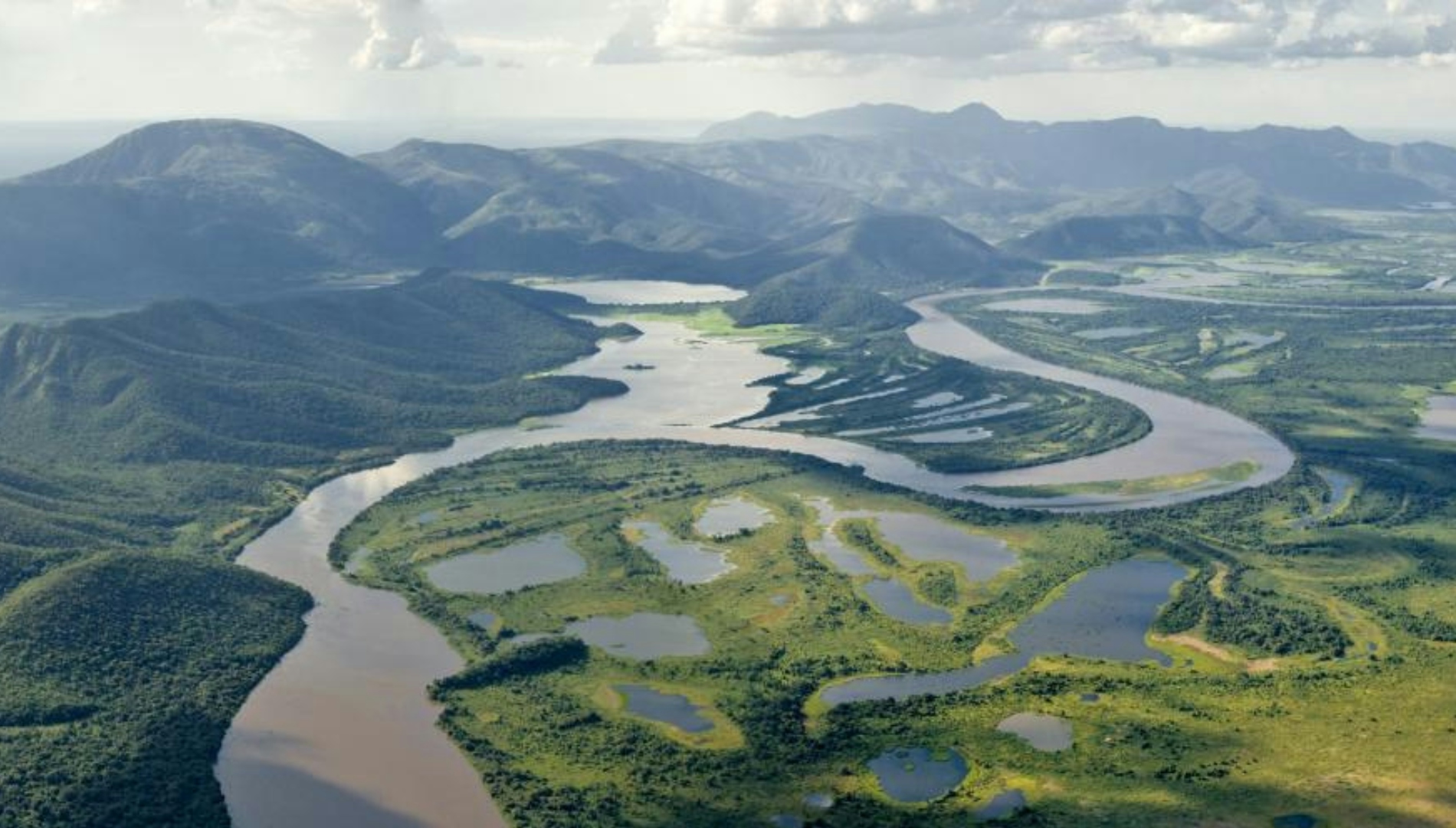 Tropical Tree Cover — Land & Carbon Lab
