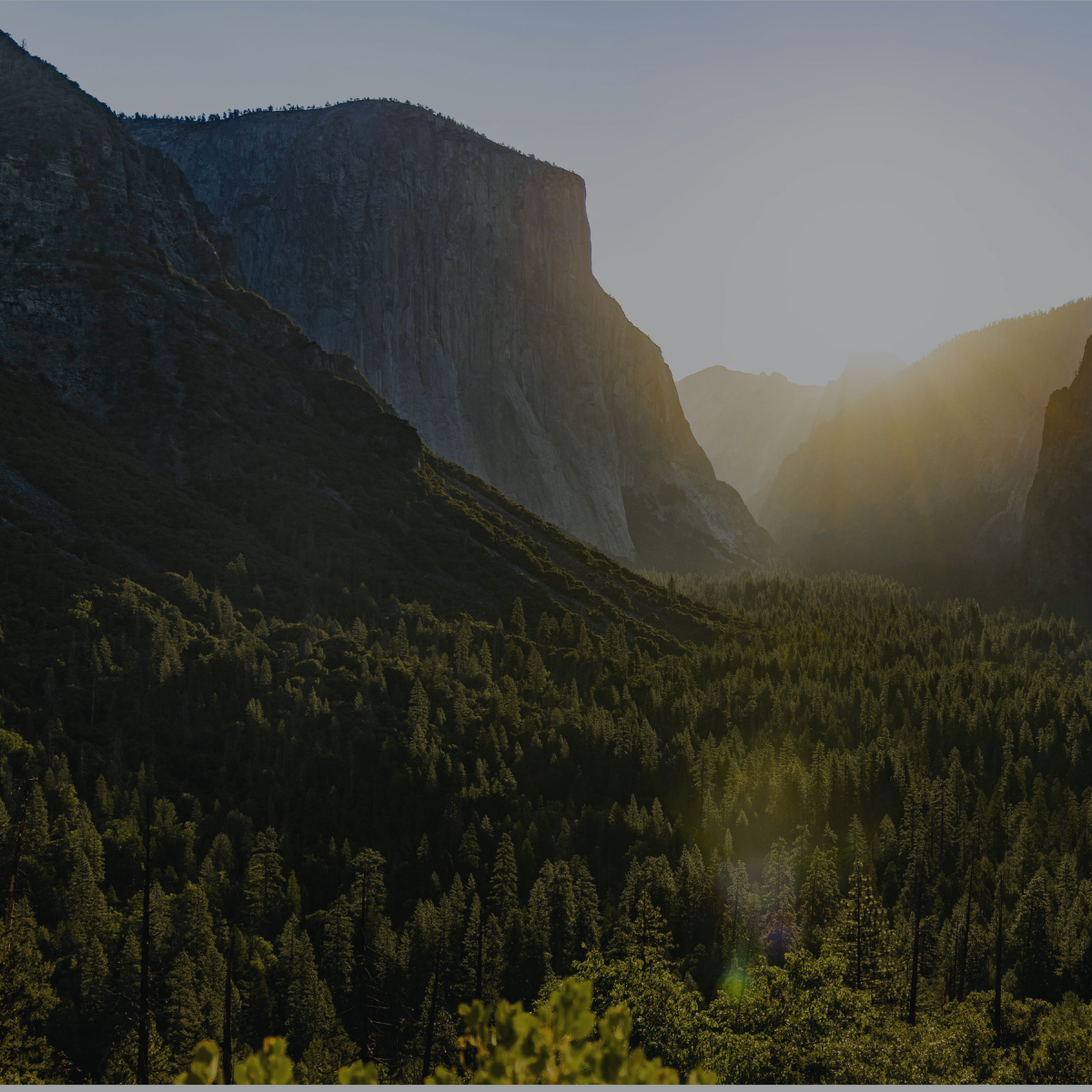 Natural Lands Map— Land & Carbon Lab