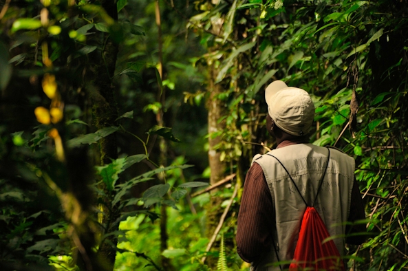 Protect natural ecosystems— Land & Carbon Lab