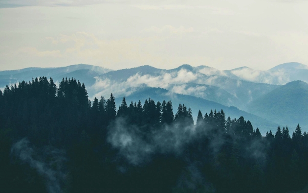 Natural Lands Map— Land & Carbon Lab