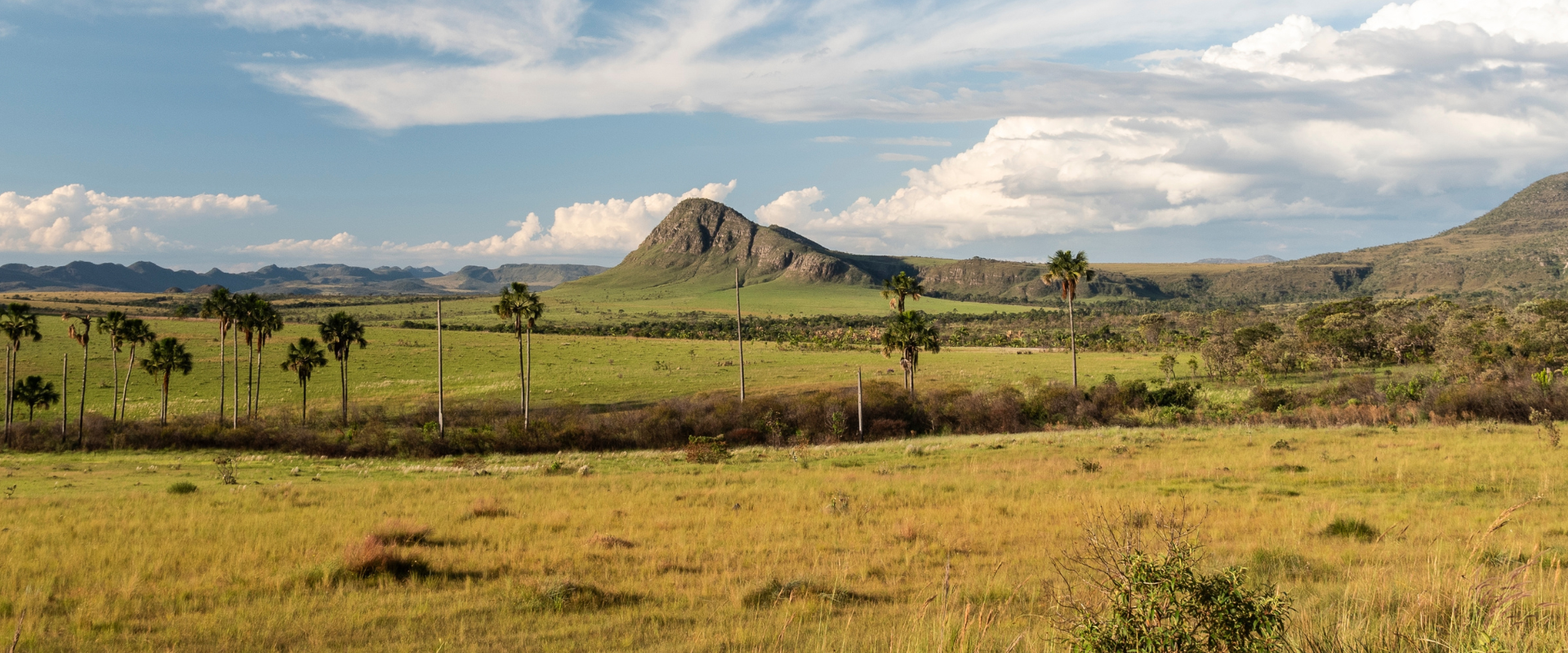 Global Grassland and Livestock Monitoring— Land & Carbon Lab