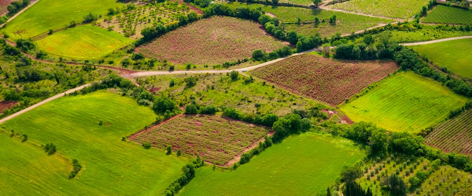 Global Cropland Yield and Area— Land & Carbon Lab