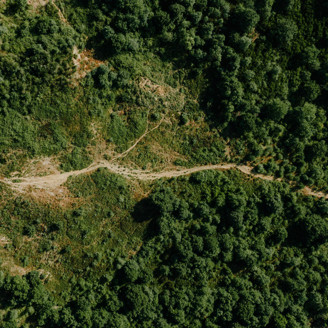 Data— Land & Carbon Lab