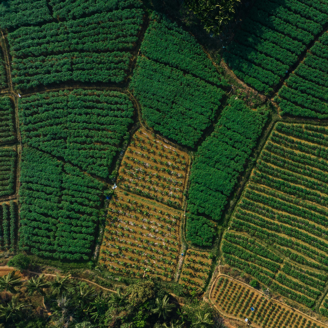 Improve agriculture and food system sustainability