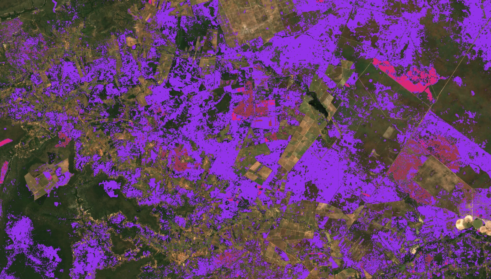 Land Disturbance Alert Classification System