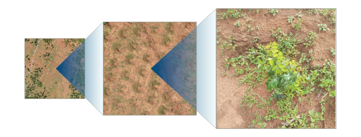 What Are AI Foundation Models and How Are They Innovating Land and ...