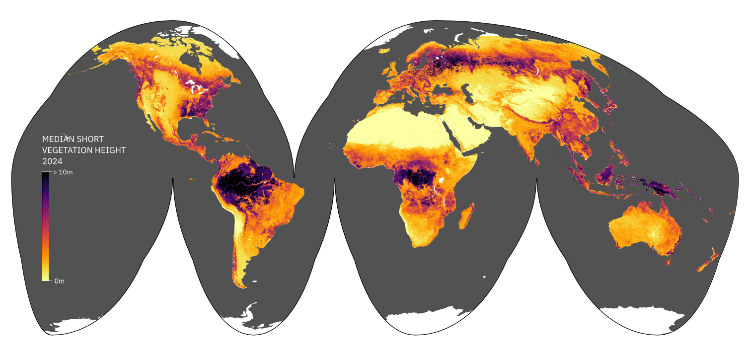Global Grassland and Livestock Monitoring— Land & Carbon Lab