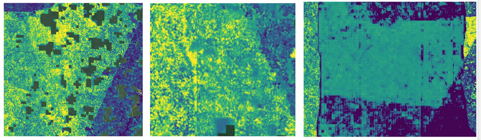 Mapping the World’s Trees in Unprecedented Detail with AI