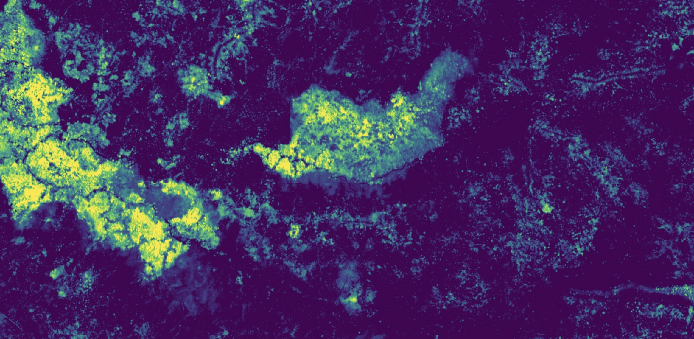 Global Tree Canopy Height — Land & Carbon Lab