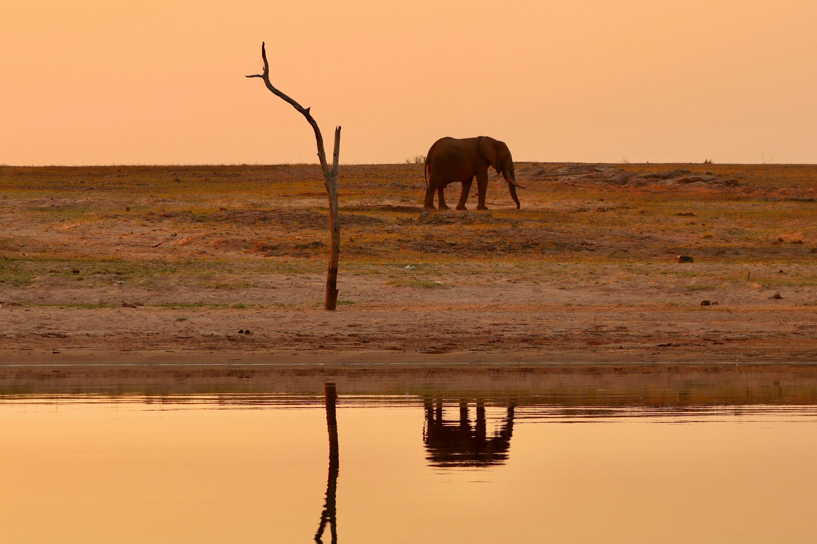 Our Team | FSC Group | FSC Group