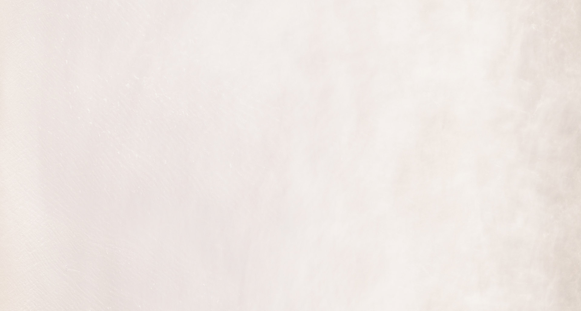 Facial Plastic Surgeon in Scottsdale, AZ | Caniglia Facial Plastic Surgery