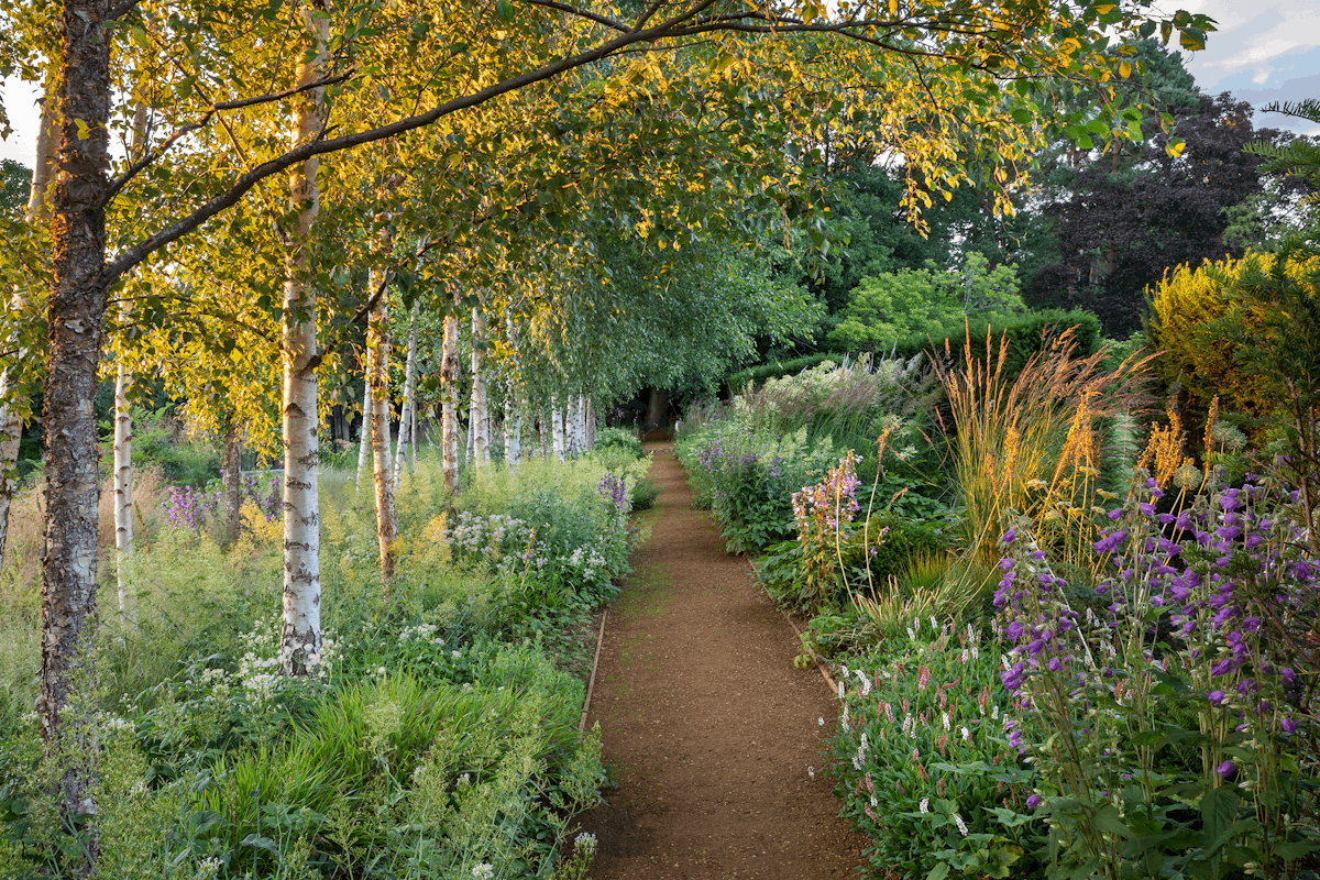 Chilterns Garden- McWilliam Studio