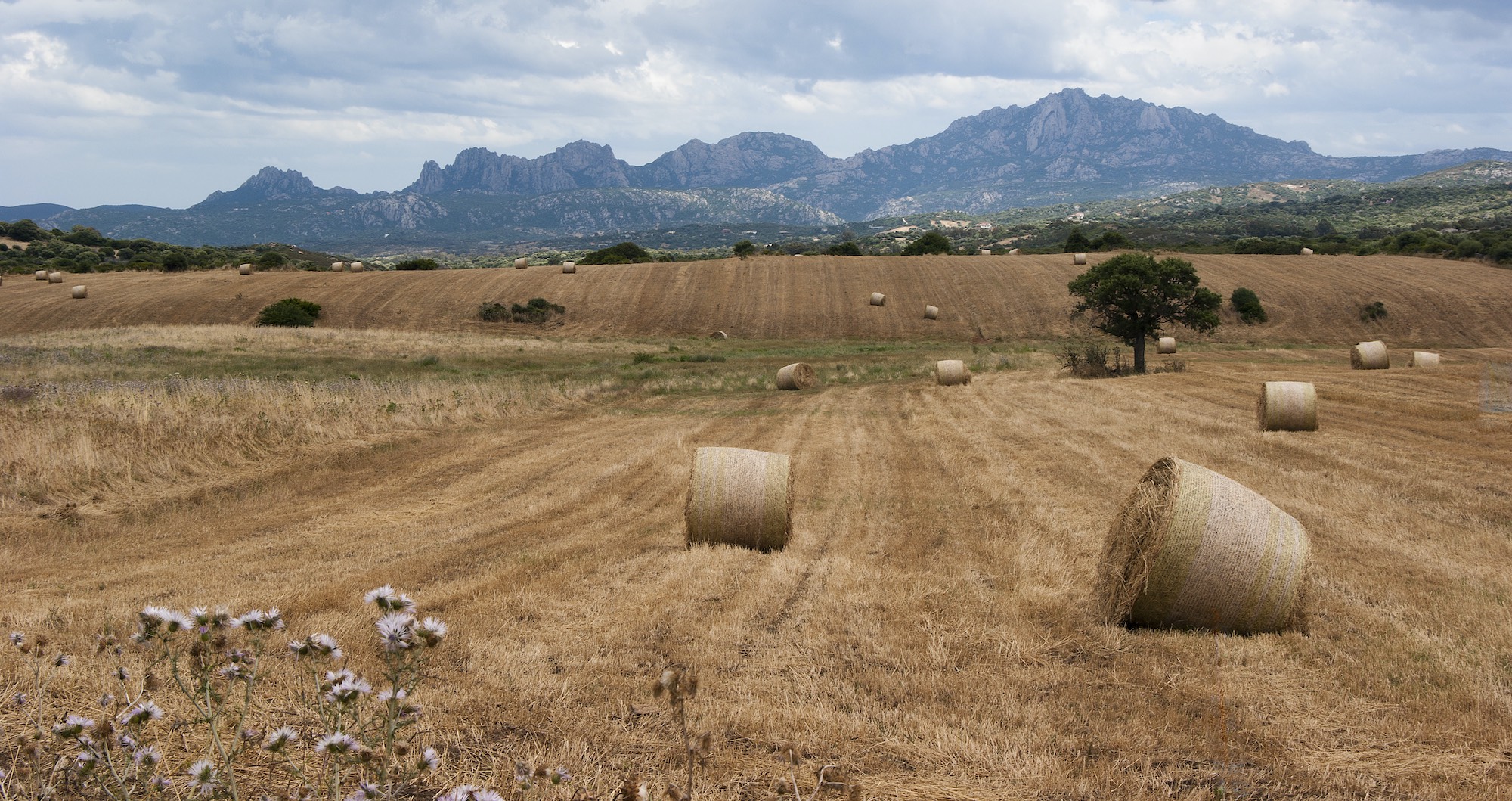 Noi e il Territorio | ABBI GROUP | Fratelli Ibba | Crai Sardegna